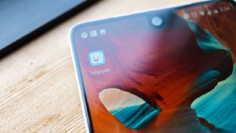 تطبيق Tinycards لتصميم البطاقات التعليمية للأندرويد والأيفون – نيوتك | New tech